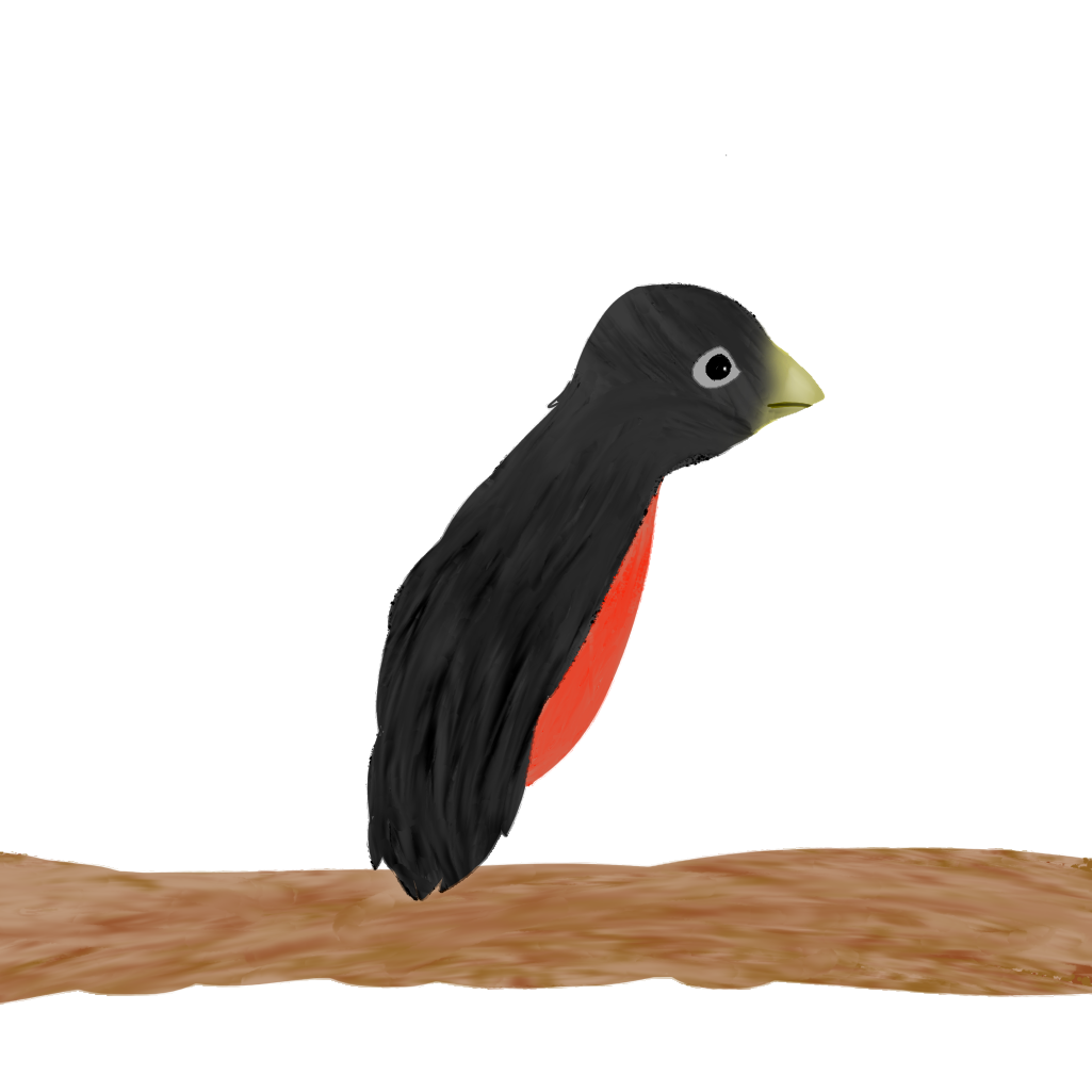 Bird But Realistic ( Art Request - ibisPaint