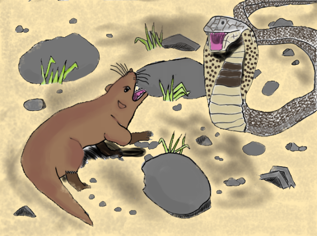 Mongoose & Cobra - ibisPaint