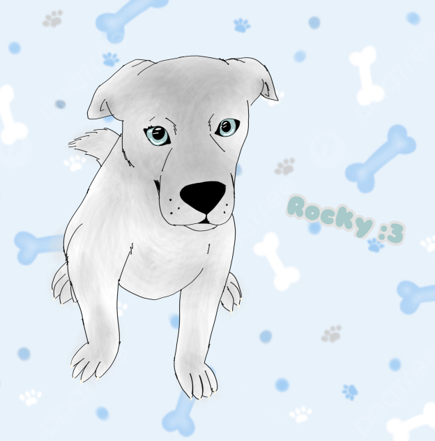 ꧁rocky (my dog) ꧂ - ibisPaint