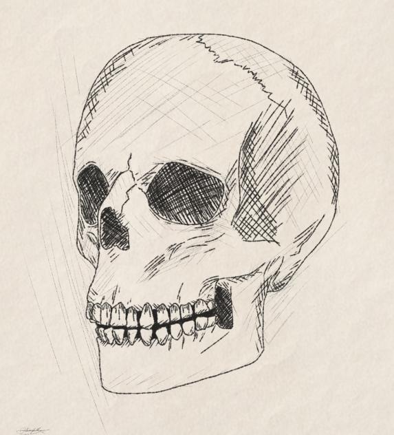 Skull - ibisPaint