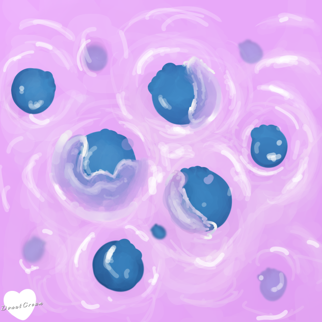 Blueberries 🫐 - ibisPaint