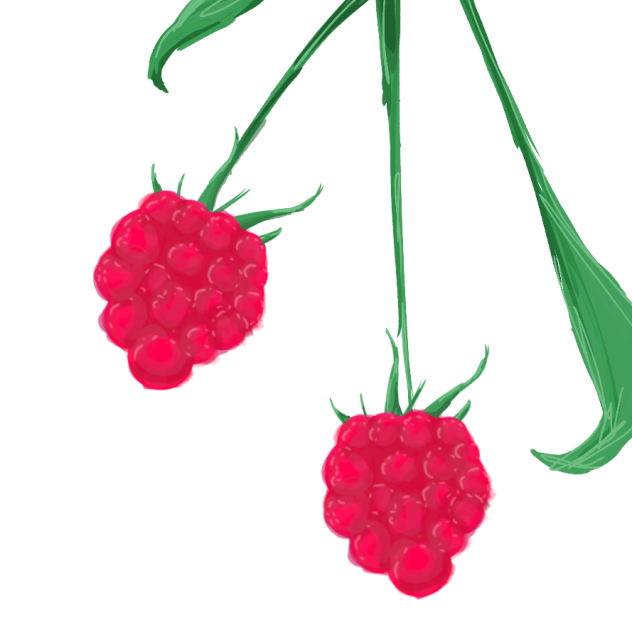 Red Raspberry! Or Red Raspberries! - ibisPaint