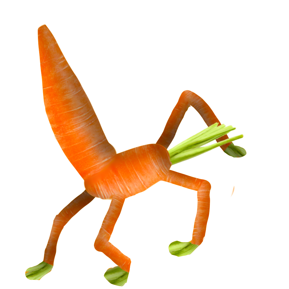 🥕 carrot - ibisPaint