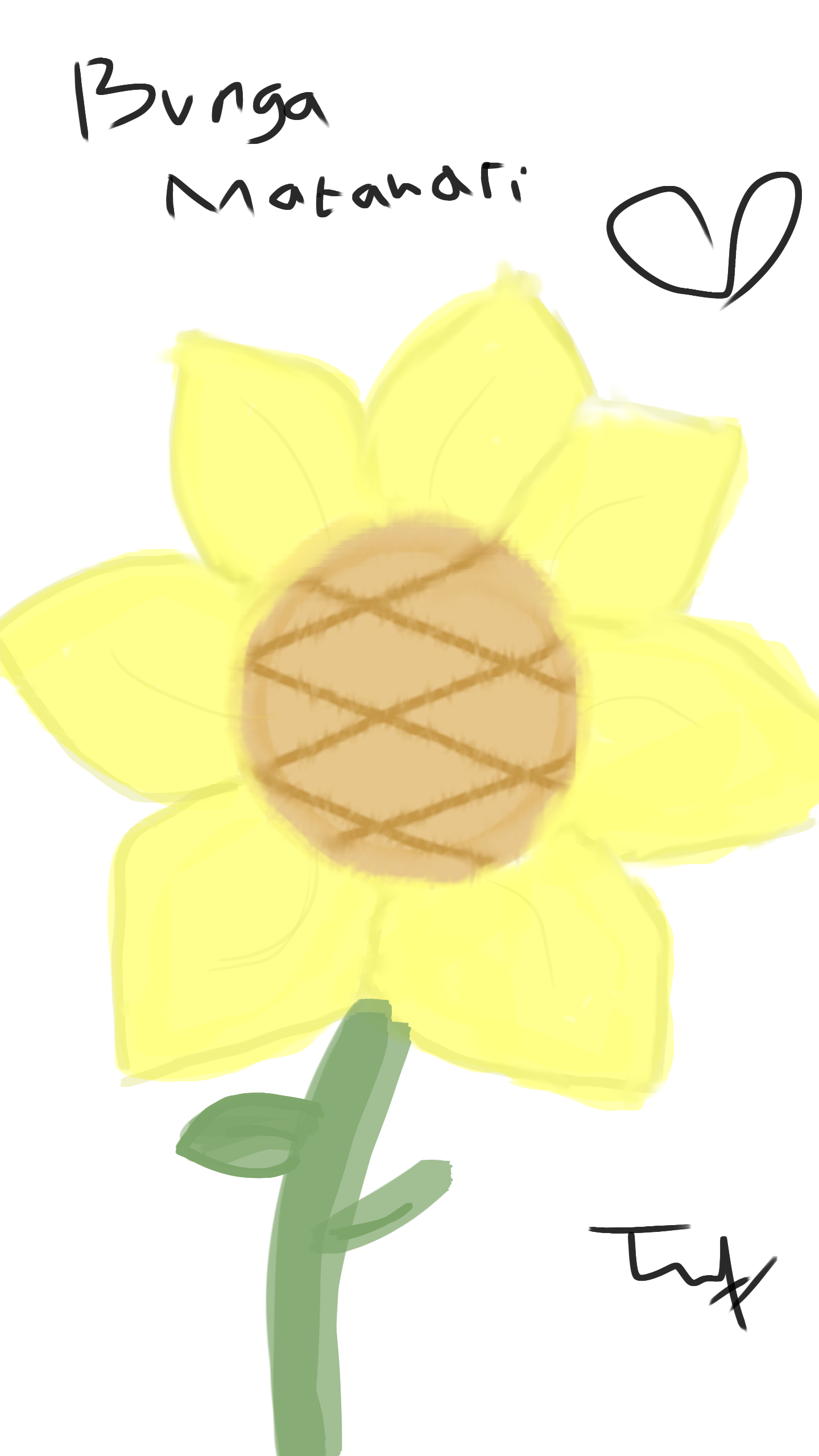 SunFlower - ibisPaint