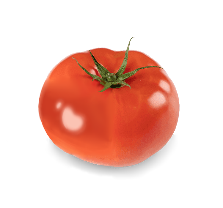 Shading da tomato 0P - ibisPaint