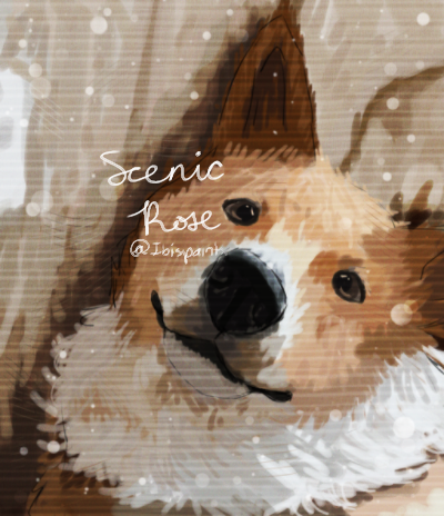 Untitled571 - ibisPaint