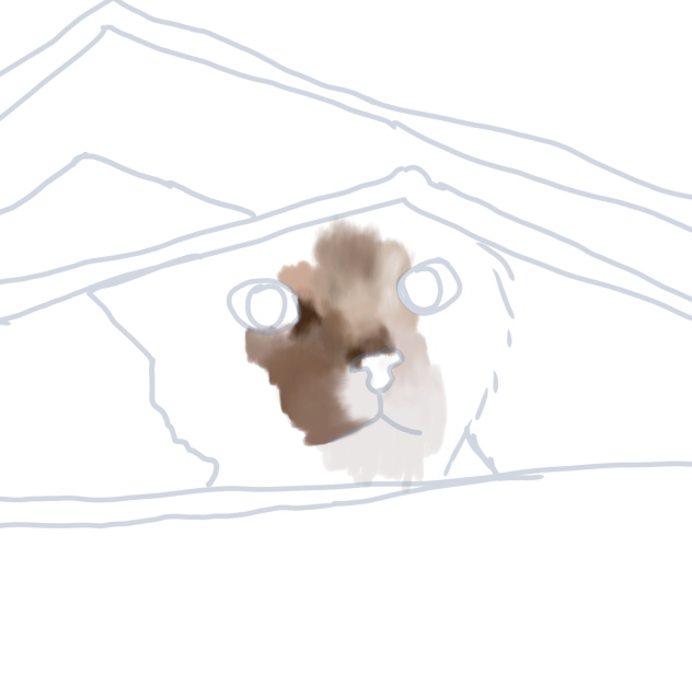 unfinished cat drawing - ibisPaint