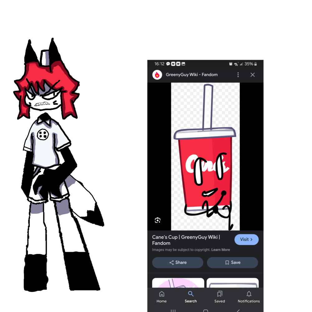 fox dude x canes cup pt 3 - ibisPaint
