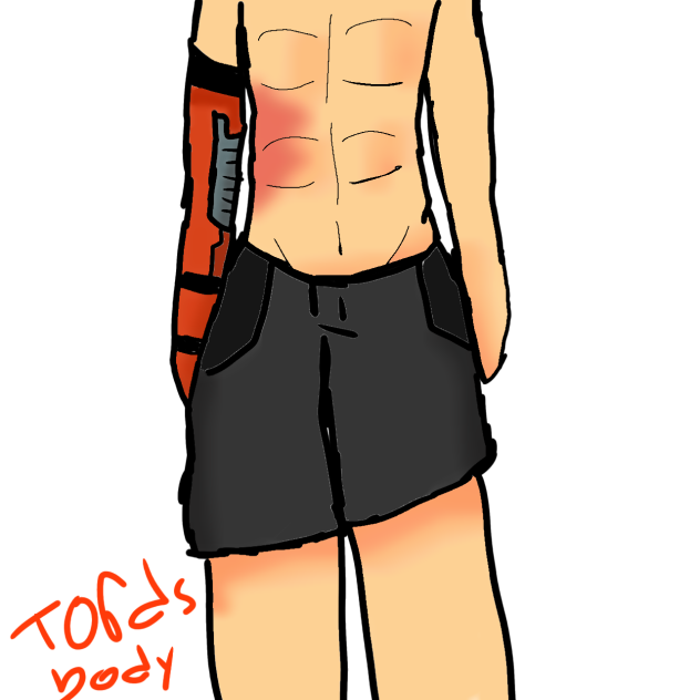 tords body - ibisPaint