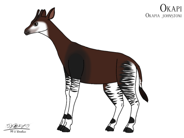 Okapi - ibisPaint
