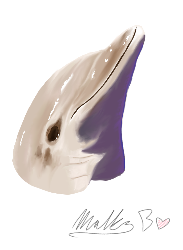 realistic dolphin face aaaaaah!!! - ibisPaint