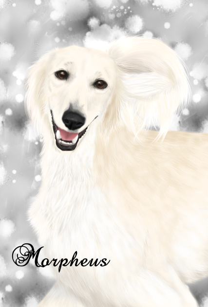 Saluki - ibisPaint