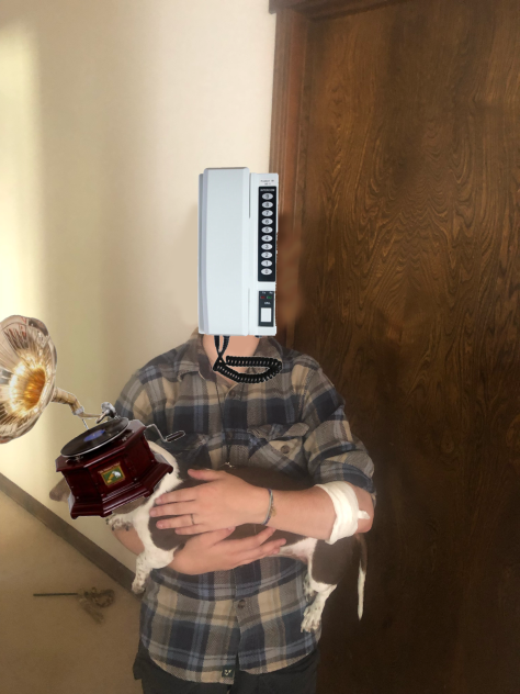 My friend’s Dt Oc Skippy and Otis - ibisPaint