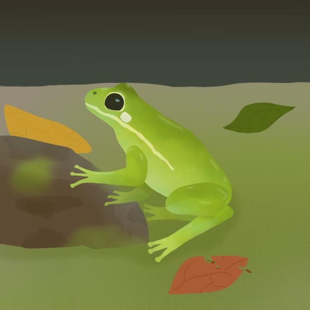 Frog 🐸 - ibisPaint