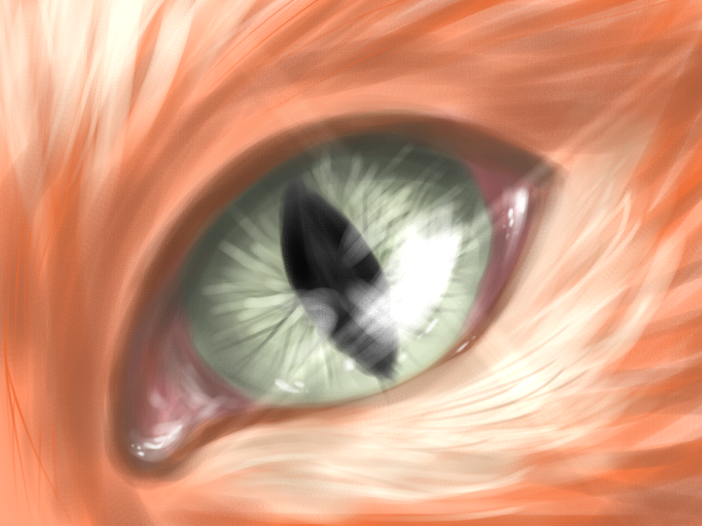 Kittyyyyy (edited) - ibisPaint