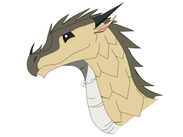 Cato’s Headshot - ibisPaint