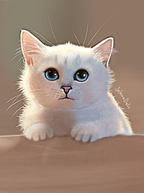 Kitten🐱🐑 - ibisPaint