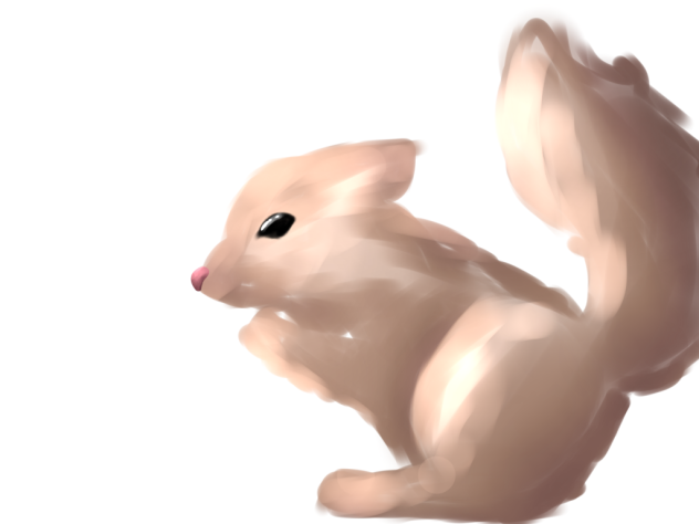 Squirrel - ibisPaint
