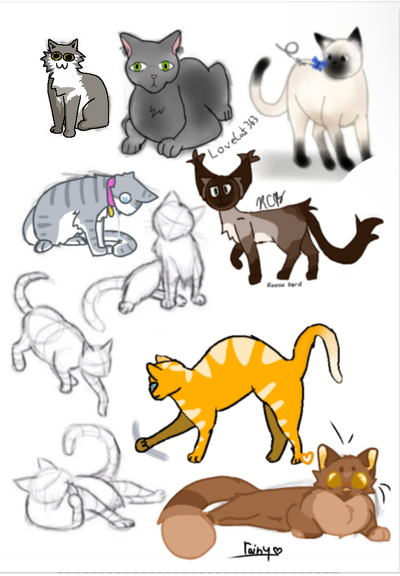 Cat colab - ibisPaint