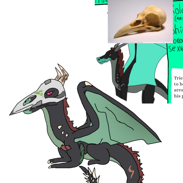 Crow redraw! - ibisPaint