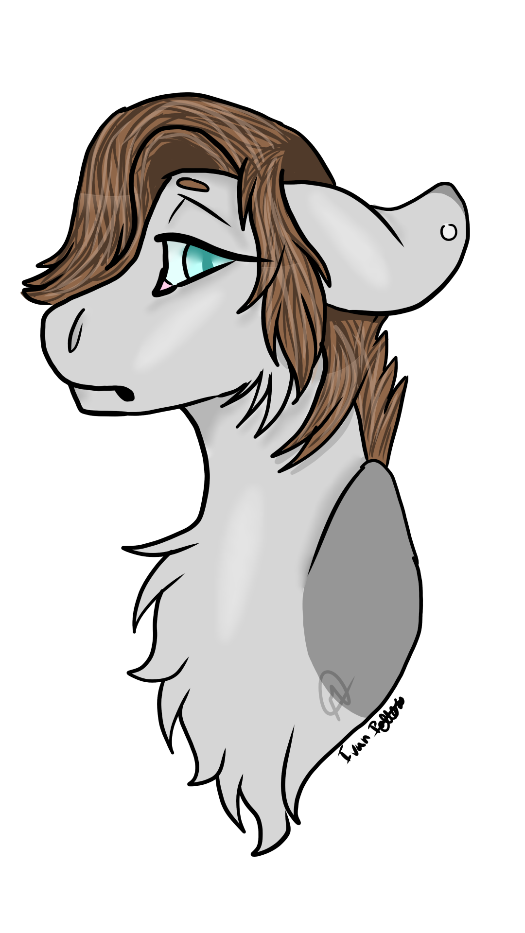 Ivan headshot - ibisPaint