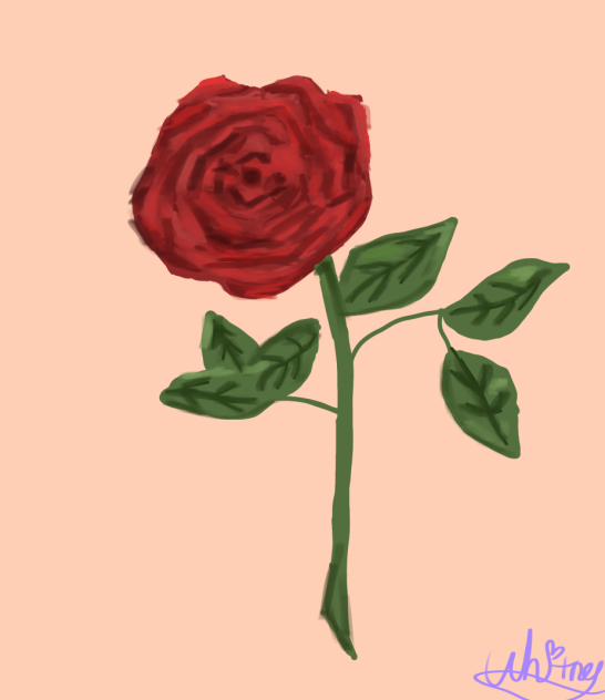 rose - ibisPaint