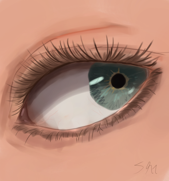 Trying realism to try and improve - ibisPaint