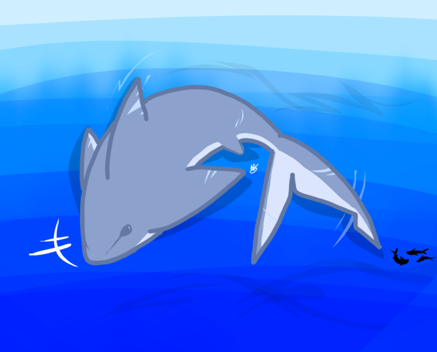 shark☆• - ibisPaint
