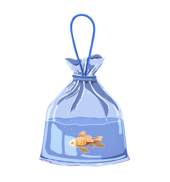 Goldfish 1 - ibisPaint