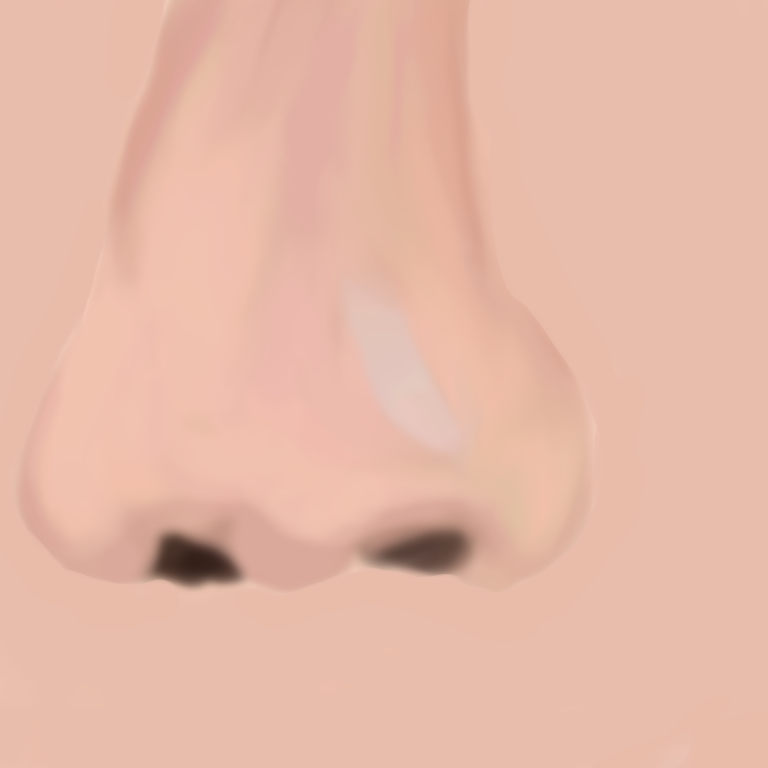 Nose - ibisPaint