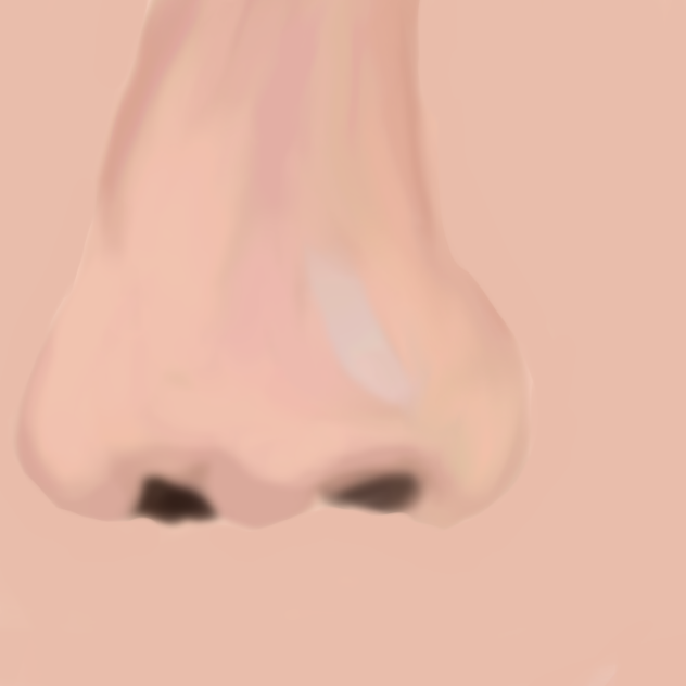 Nose - ibisPaint