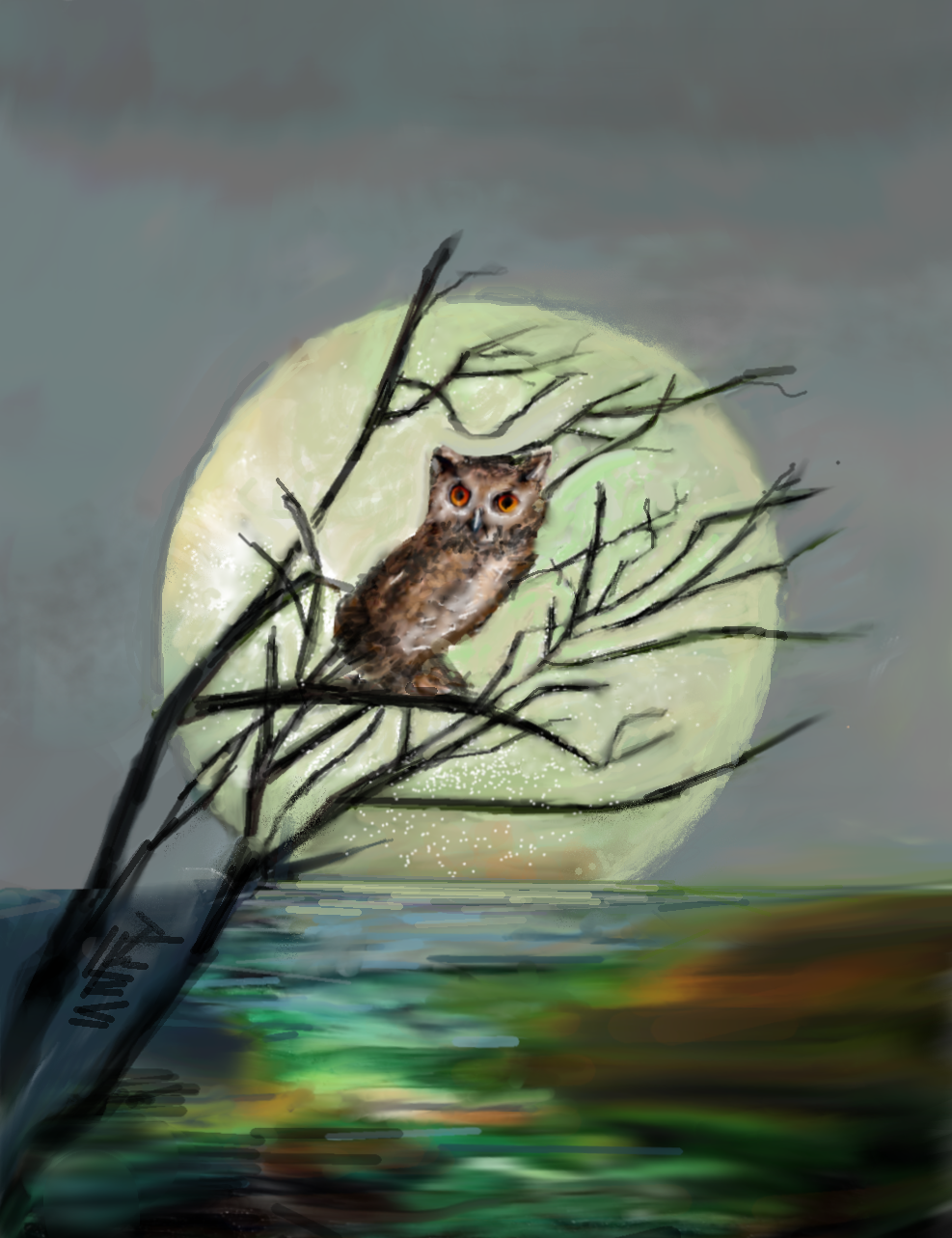 Hooty Owl - ibisPaint