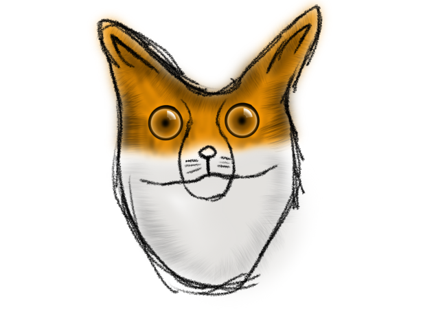 Fox - ibisPaint
