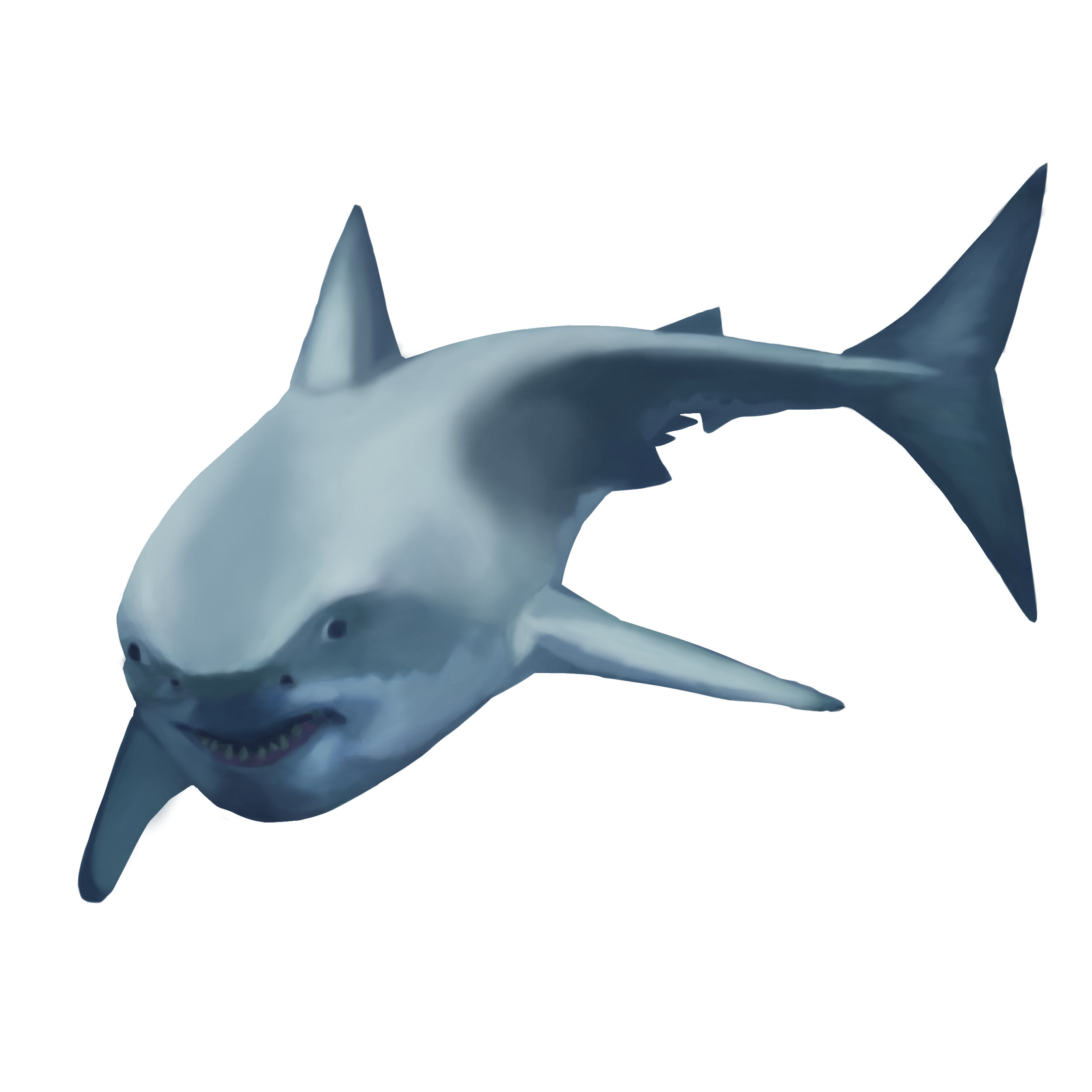 Shark - ibisPaint