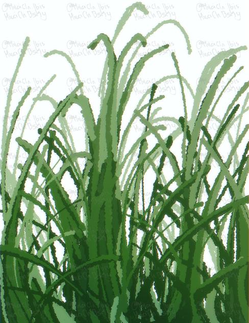 Touch grass💚💚💚 - ibisPaint