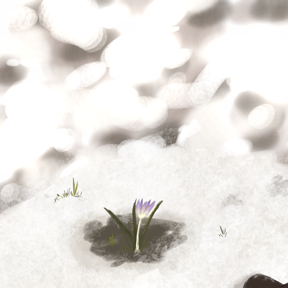 Violet Snowdrop - ibisPaint