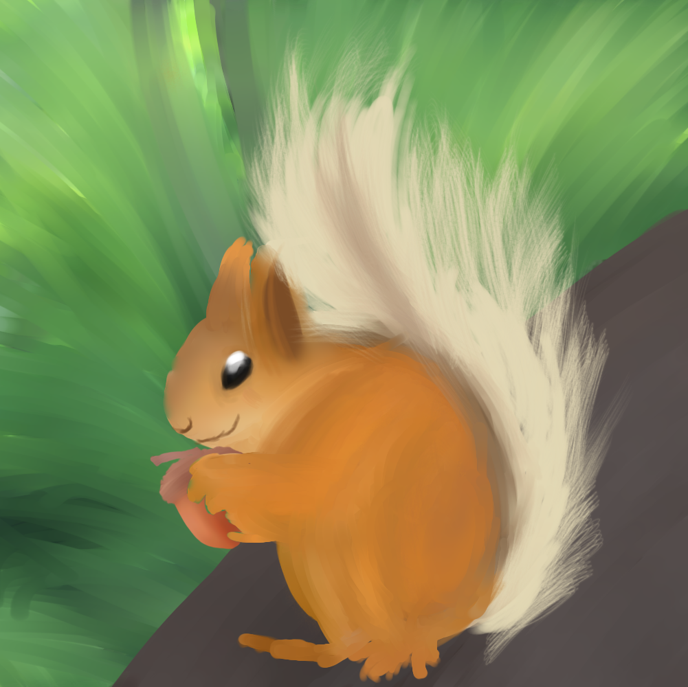 SQUIRREL ! 🐿 - ibisPaint