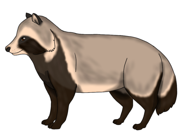 Japanese Raccoon Dog - Tanuki render - ibisPaint