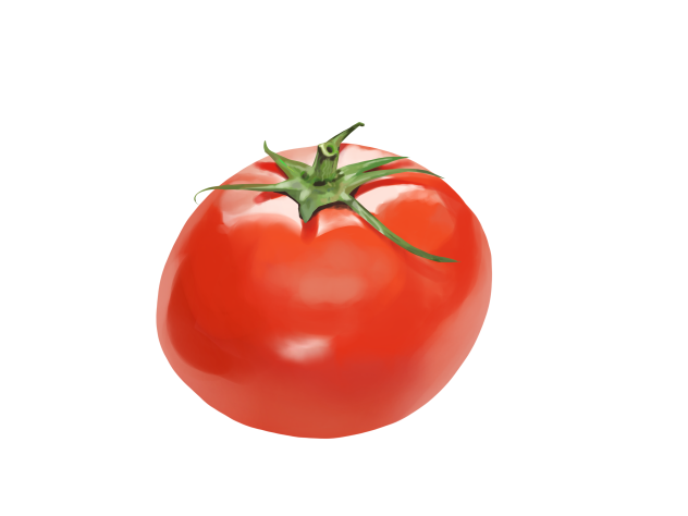 Tomato - ibisPaint