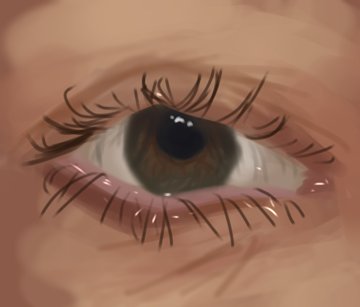 Tried to do realism - ibisPaint