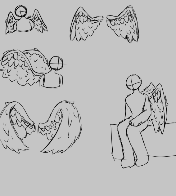 Wing practice - ibisPaint