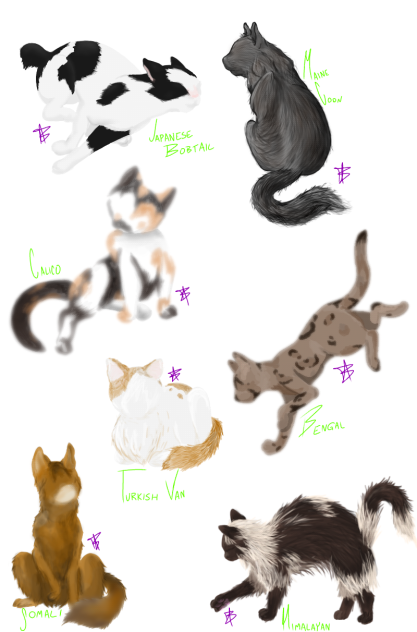 Cat samples - ibisPaint