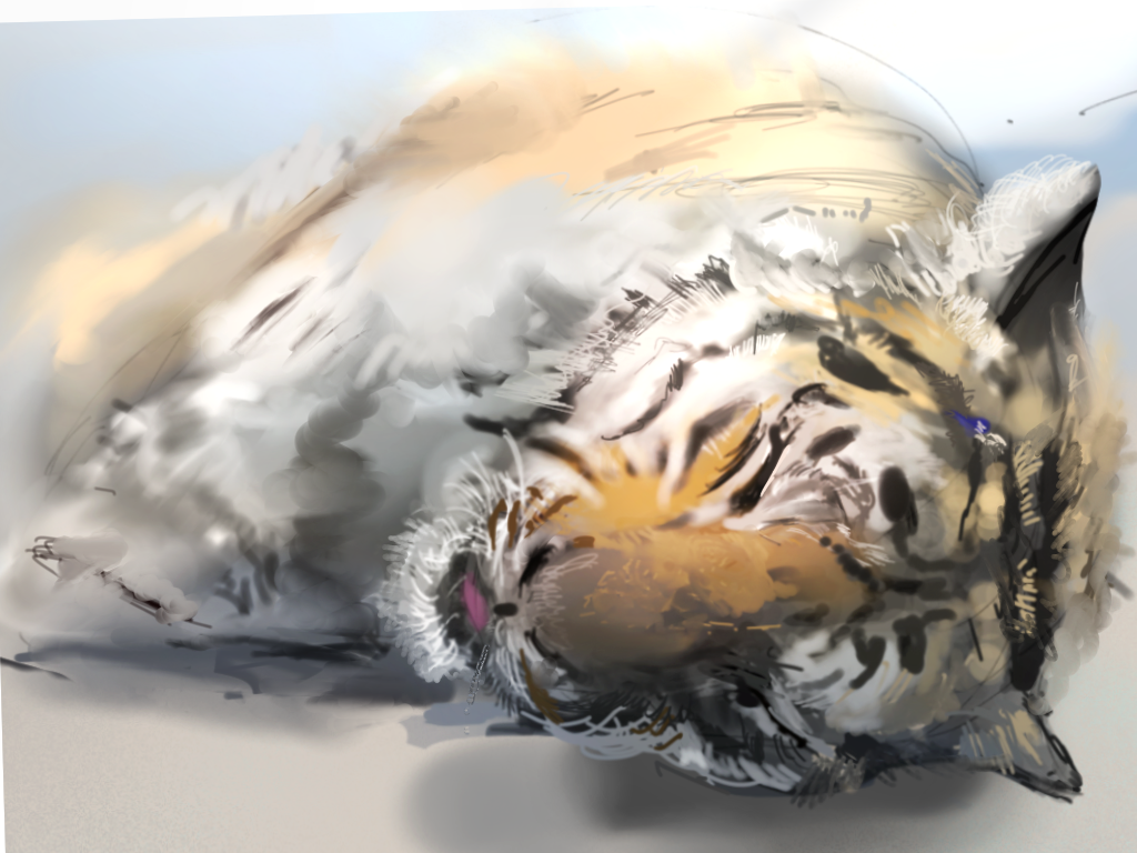 sleeping - ibisPaint