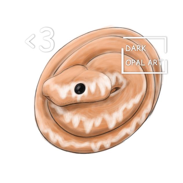 Cinnamon bun snake!! - ibisPaint