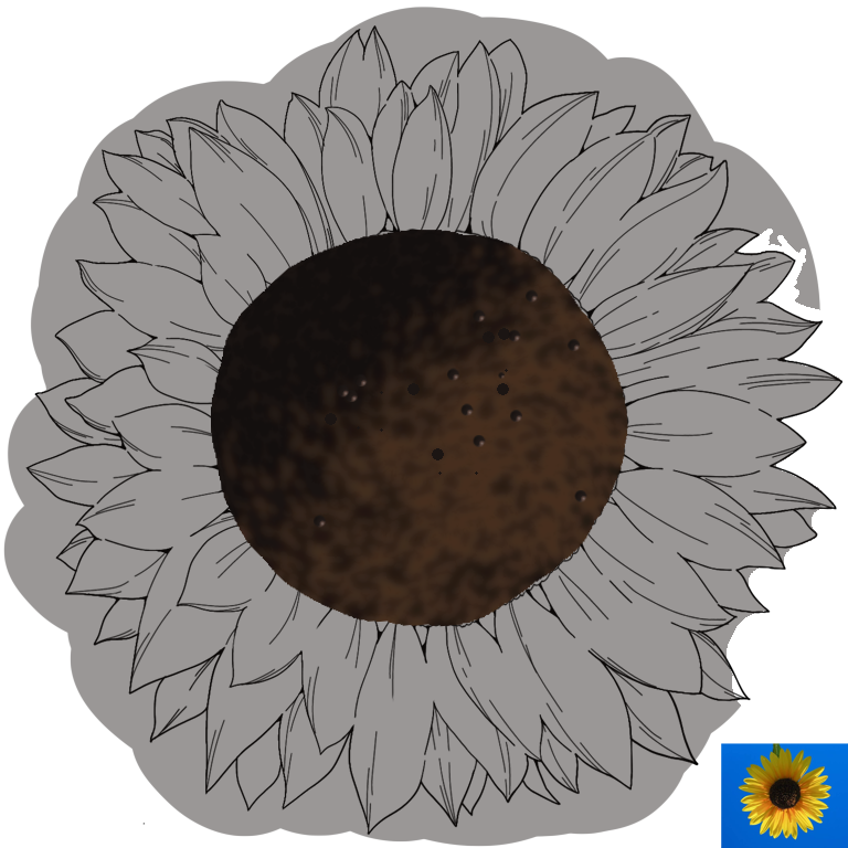 Sunflower - ibisPaint