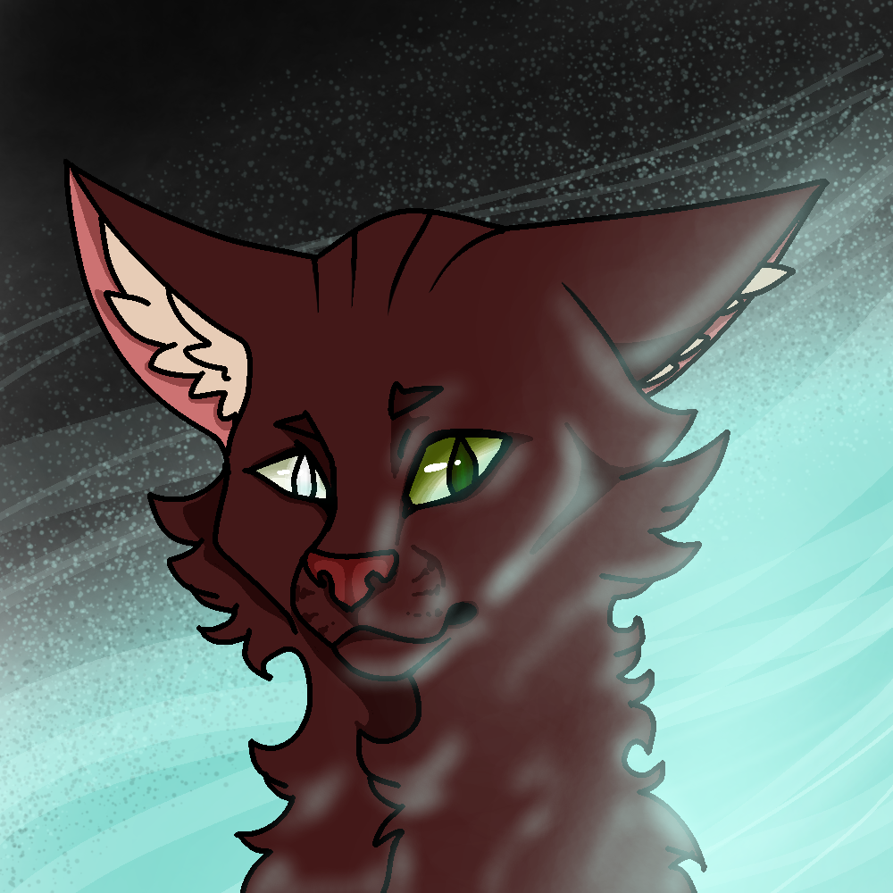 @helloWarriorcat pfp competition - ibisPaint