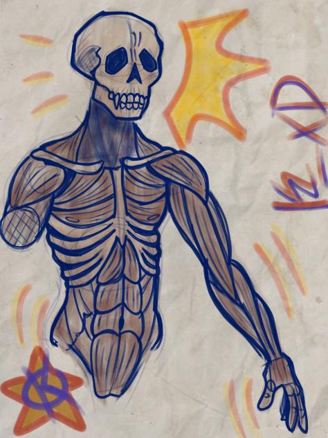 anatomía practica - ibisPaint