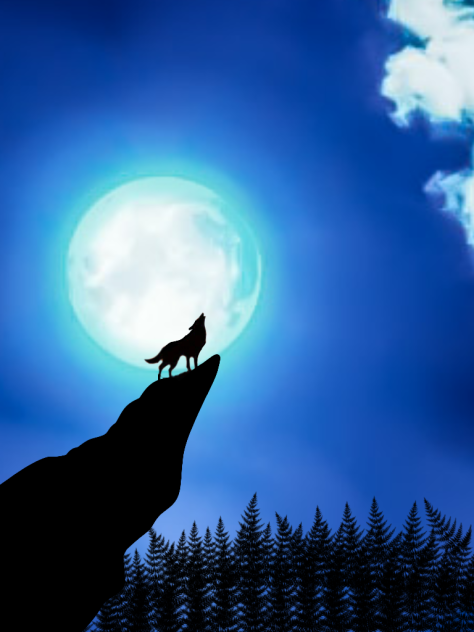 wolf the moon - ibisPaint