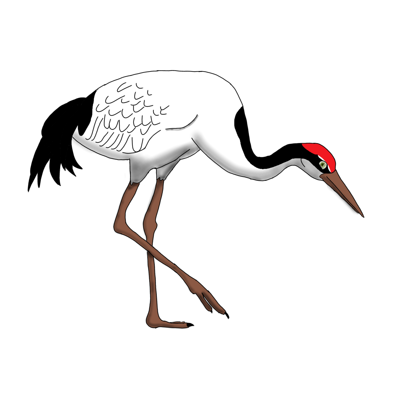 Crane - ibisPaint
