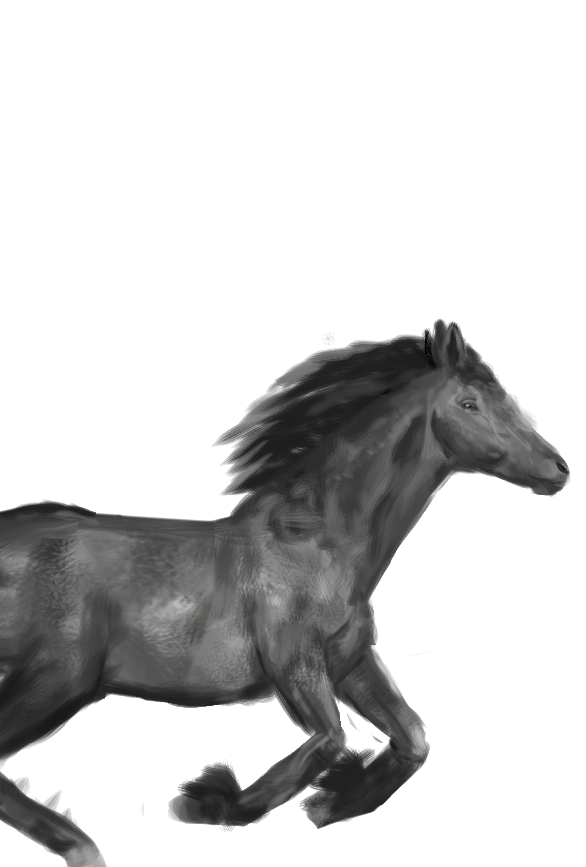 Horse - ibisPaint